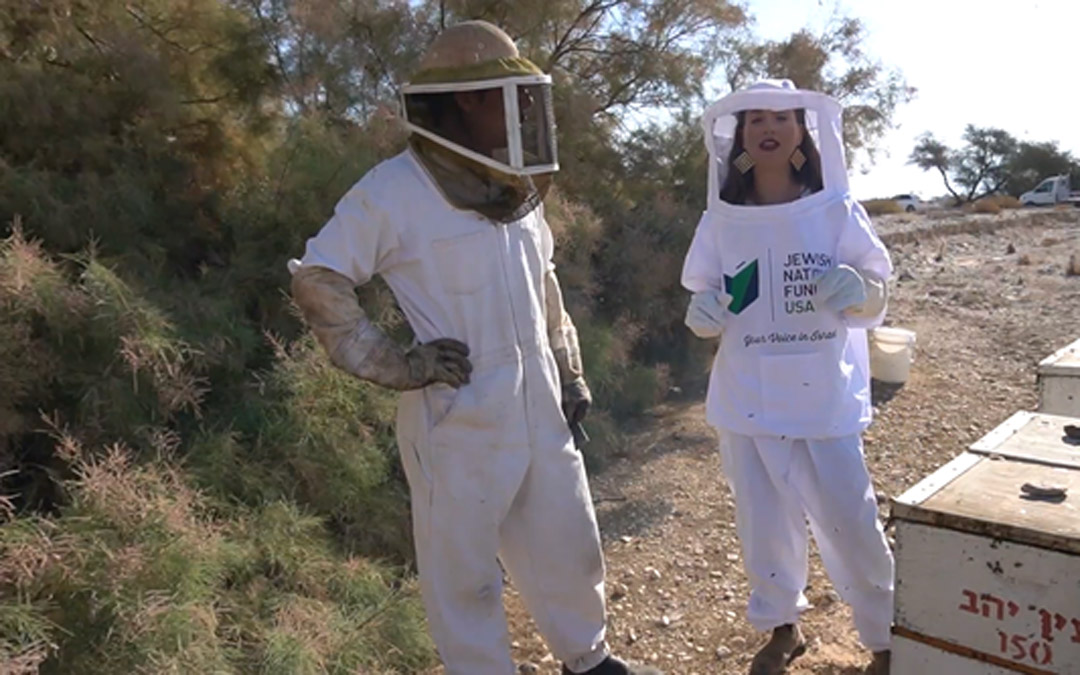 Israel Emerges as a Global Leader in Reviving Bee Colonies - in the ...
